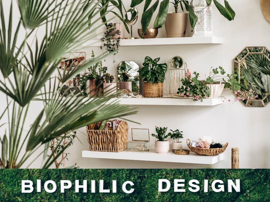 Embracing Nature: Understanding Biophilia & Biophilic Design – Truvaii